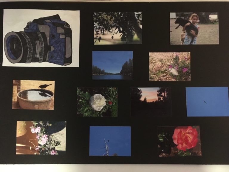 Grade 8 Project Presentations - Tucson Waldorf School